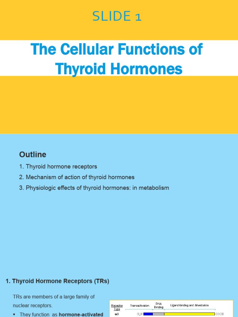 Tugas 1. Cellular Function of Thyroid Hormone | PDF | Hormone | Metabolism