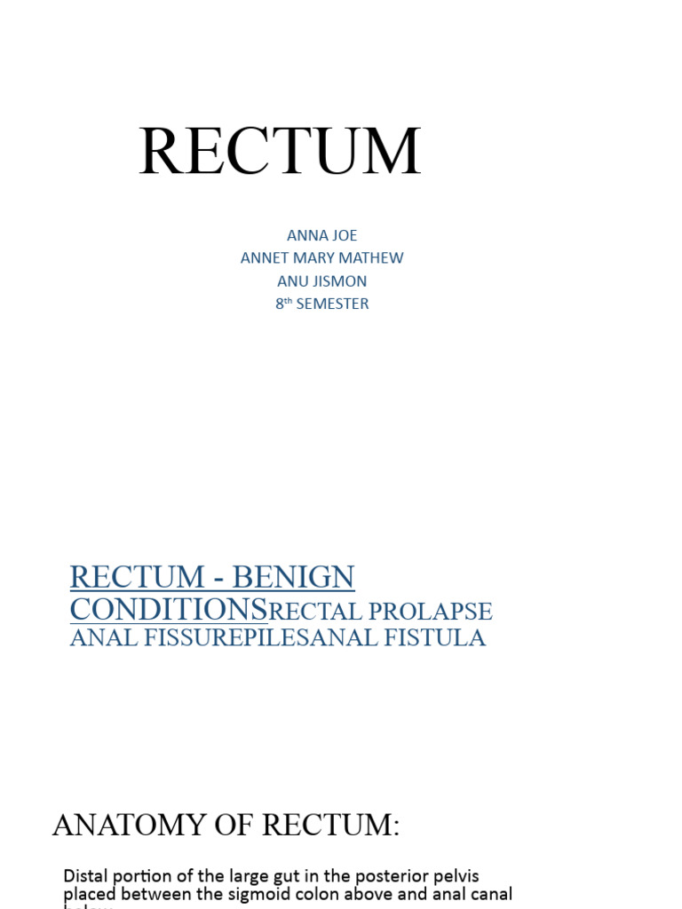 Rectum | PDF | Hemorrhoid | Rectum