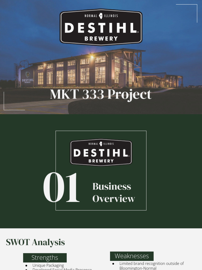 MKT 333 Imc Project | Download Free PDF | Brand | Beer