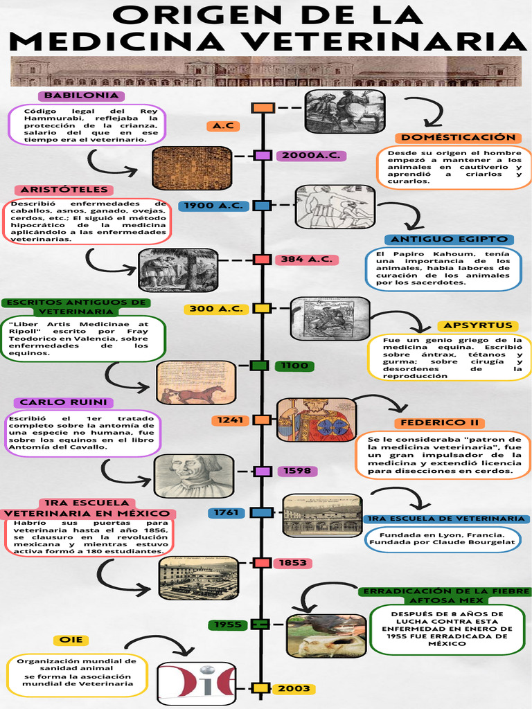 Origen de La Medicina Veterinaria - Dgpe | PDF | Medicina Veterinaria | Medicina