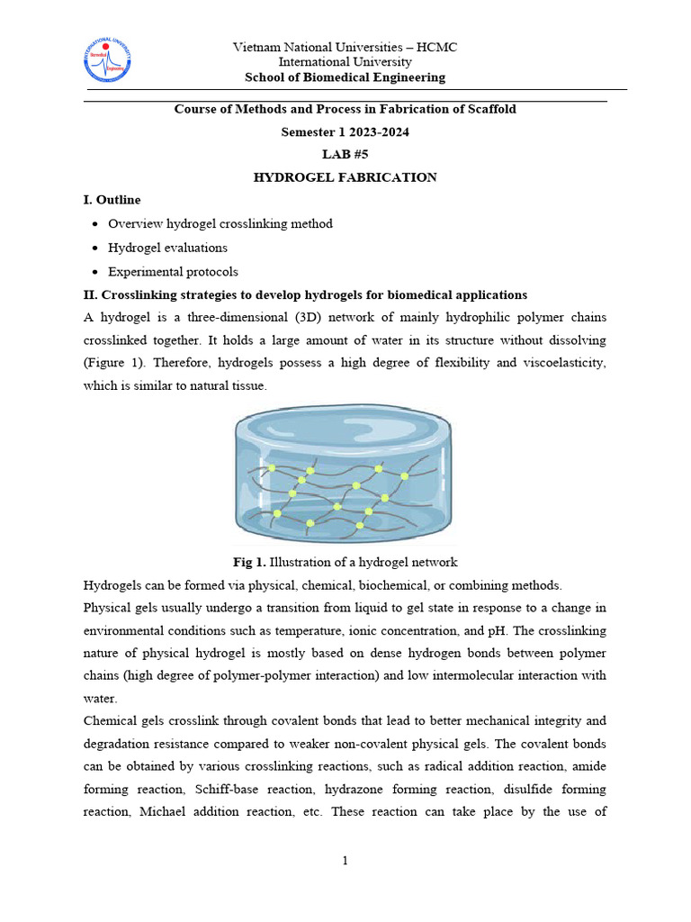 Scaffold Lab #5 Handout | PDF | Gel | Cross Link