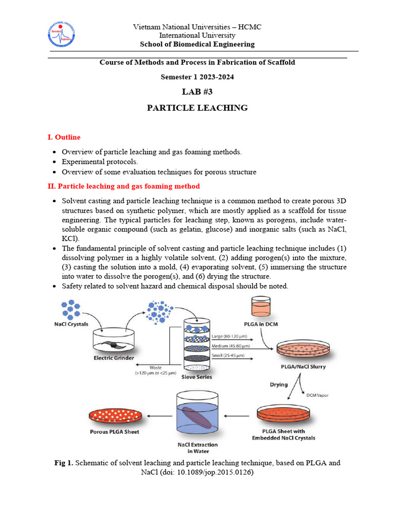 Scaffold Lab 3-Particle Leaching | PDF | Tissue Engineering | Solvent