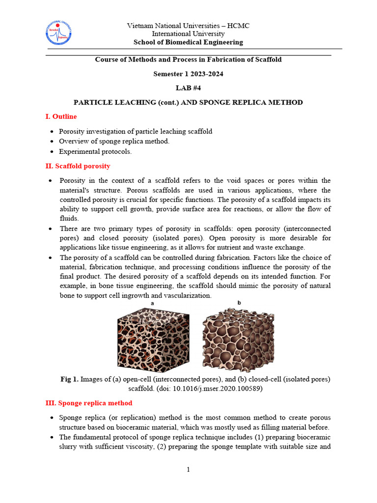 Scaffold Lab #4 Handout | PDF | Tissue Engineering | Porosity