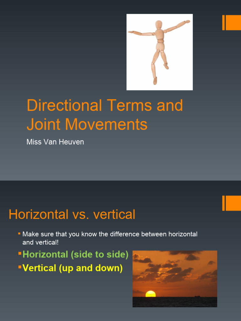 Joint Movements and Classifications | PDF | Anatomical Terms Of Motion ...