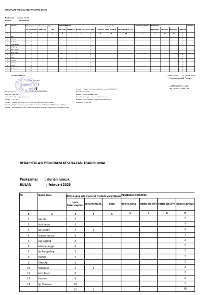 Rekap Program Kesehatan Tradisional | PDF