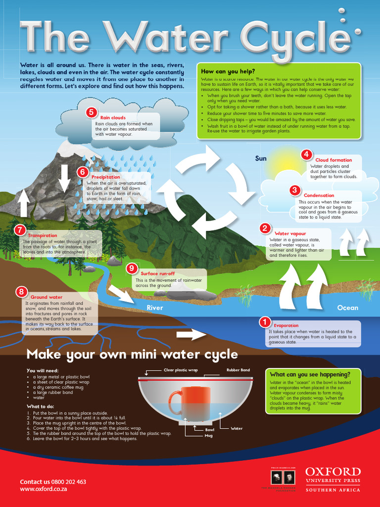 The Water Cycle Poster | PDF | Water | Water Cycle