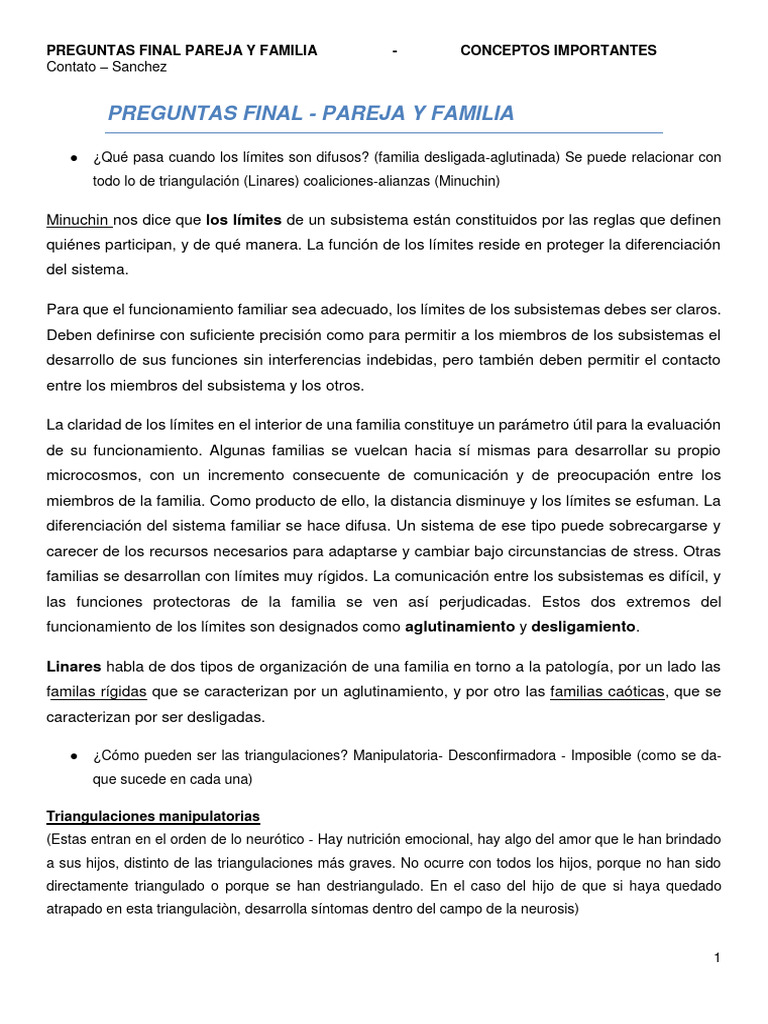 Preguntas de Final y Conceptos Importanes - Pareja y Familia | PDF | Psicoterapia | Pensamiento