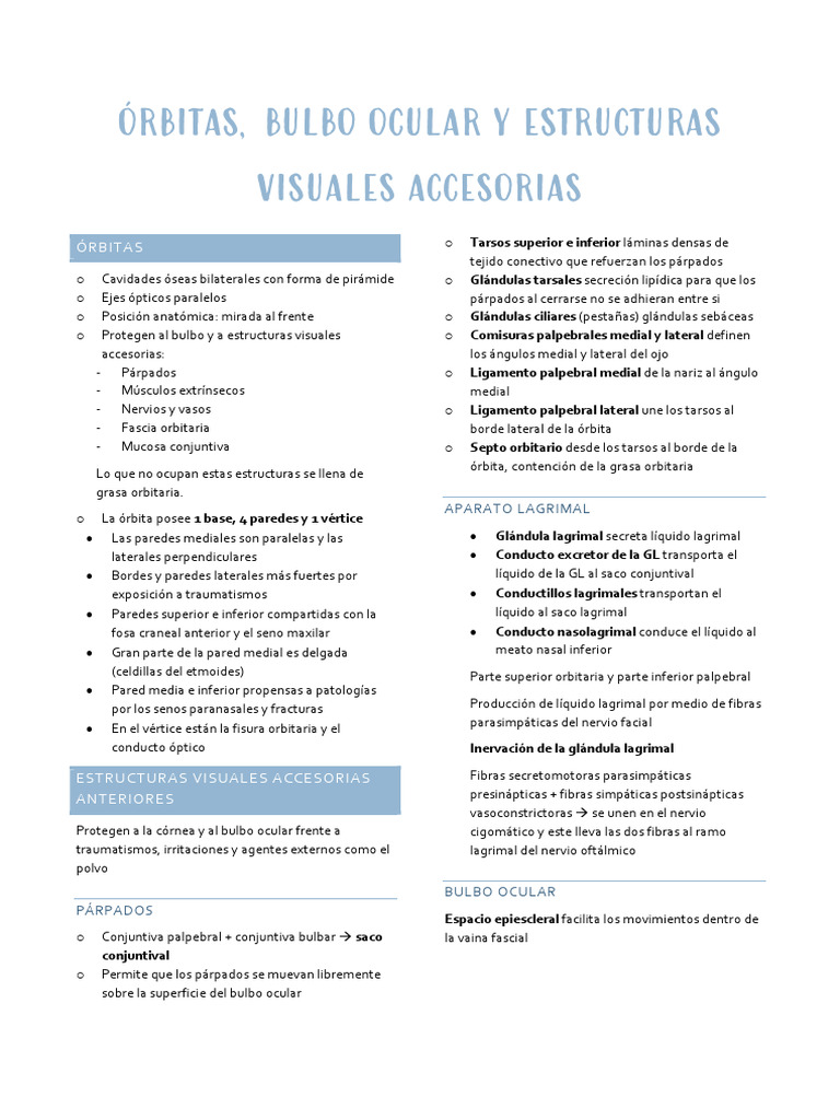 Órbitas, Bulbo Ocular y Estructuras Viserales Accesorias | PDF | Cara ...