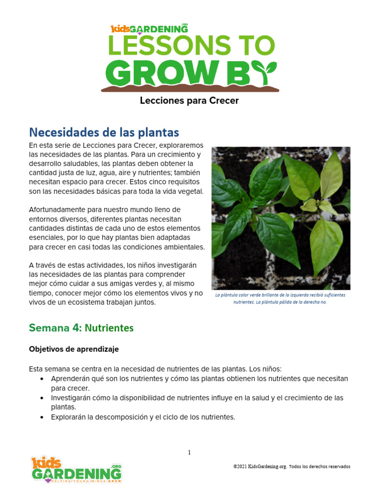 Nutrientes Esenciales para Plantas Niños | PDF | Fertilizante | Nutrientes