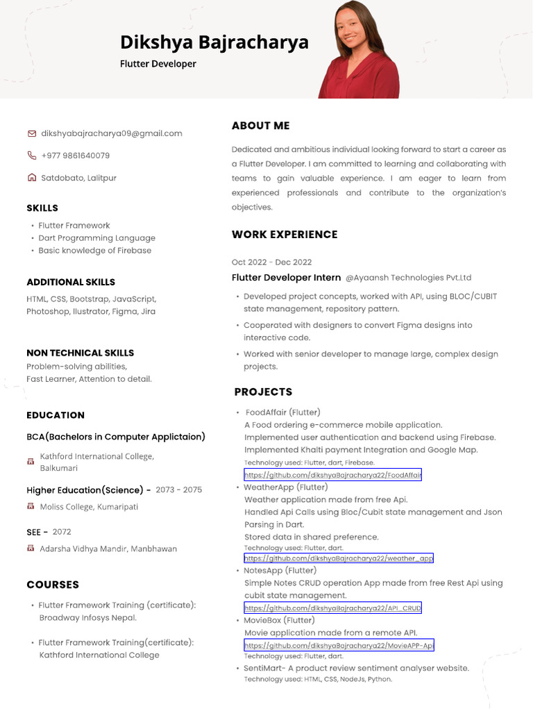 Flutter Developer Portfolio | PDF | Software Framework | Computing