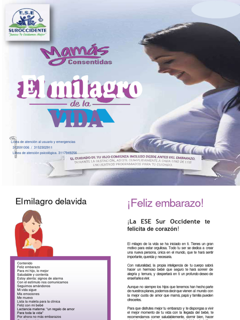 Cartilla de Control Prenatal y Embarazo | PDF | Alimentos | El embarazo