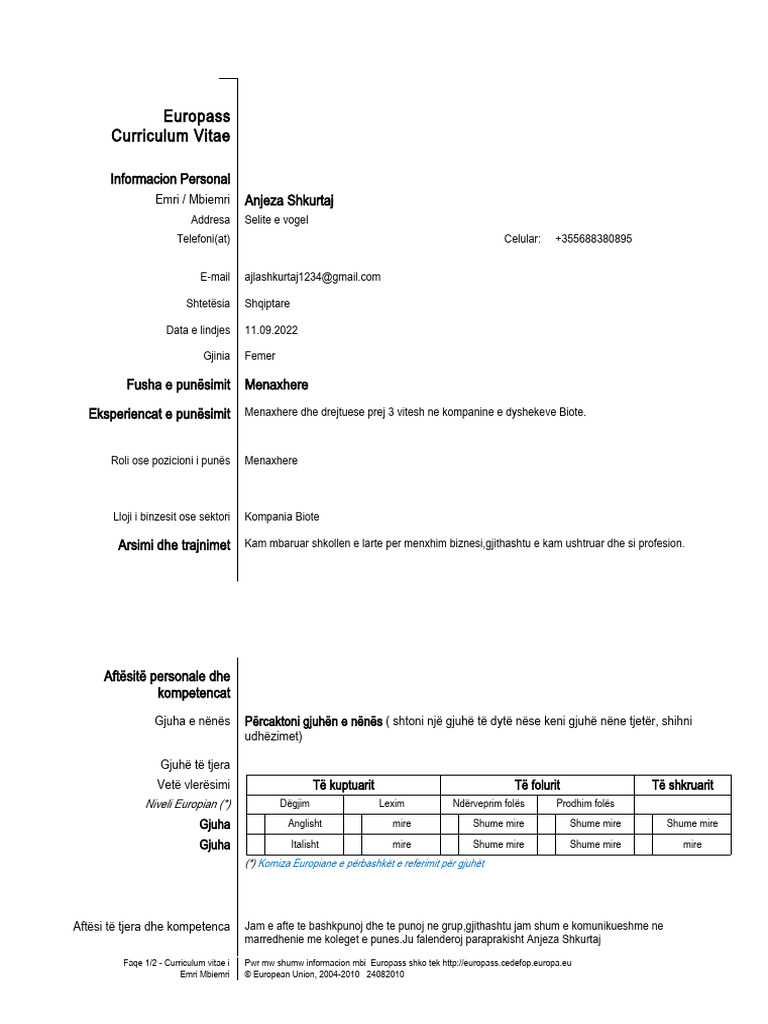 CV Al | PDF