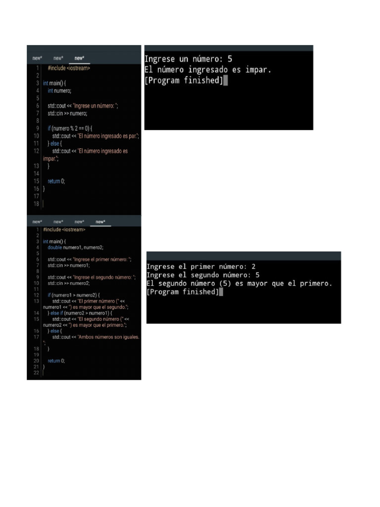 Documento (1) Programa | PDF