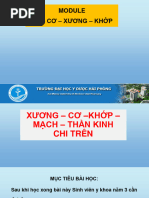 Giải Phẫu Xương Cánh Tay | PDF