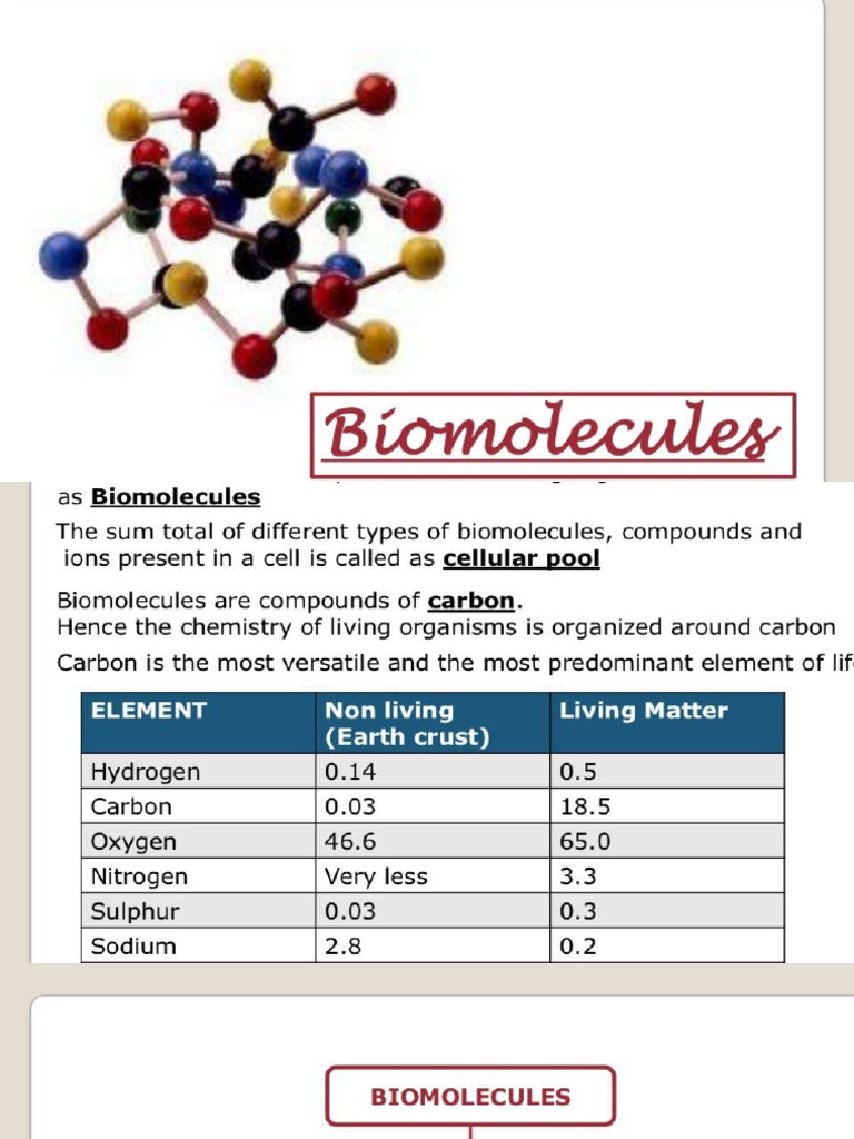 Chapter 14 Biomolecules Notes | PDF