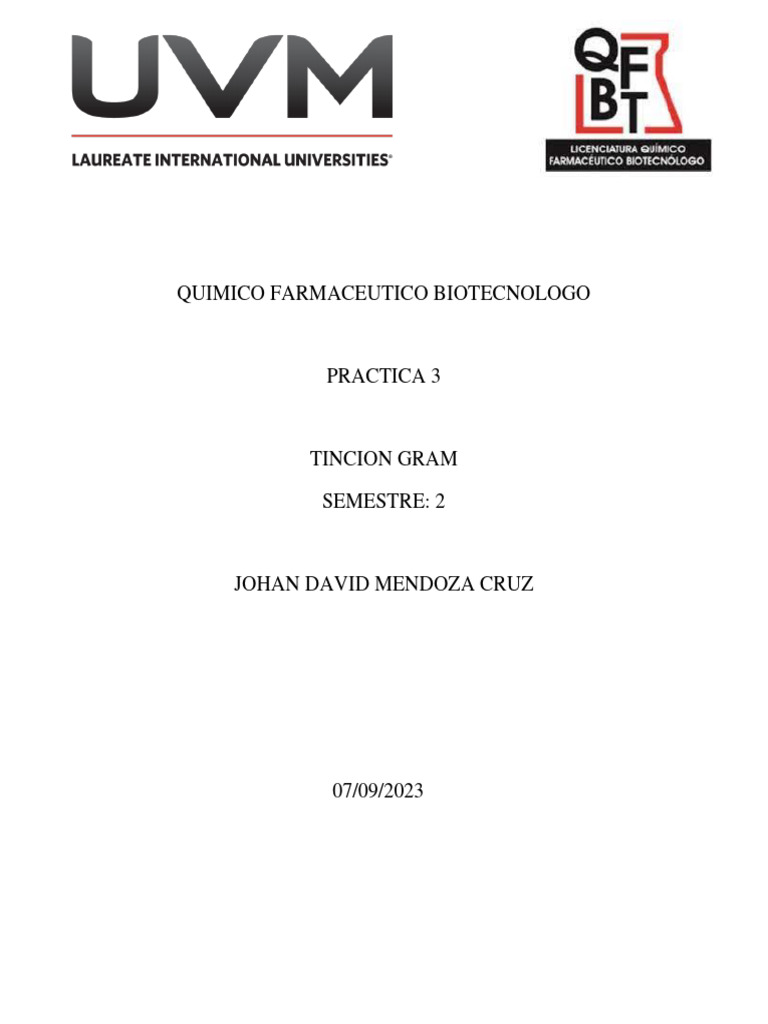 Tincion Gram Johan | PDF | Tinción | Las bacterias