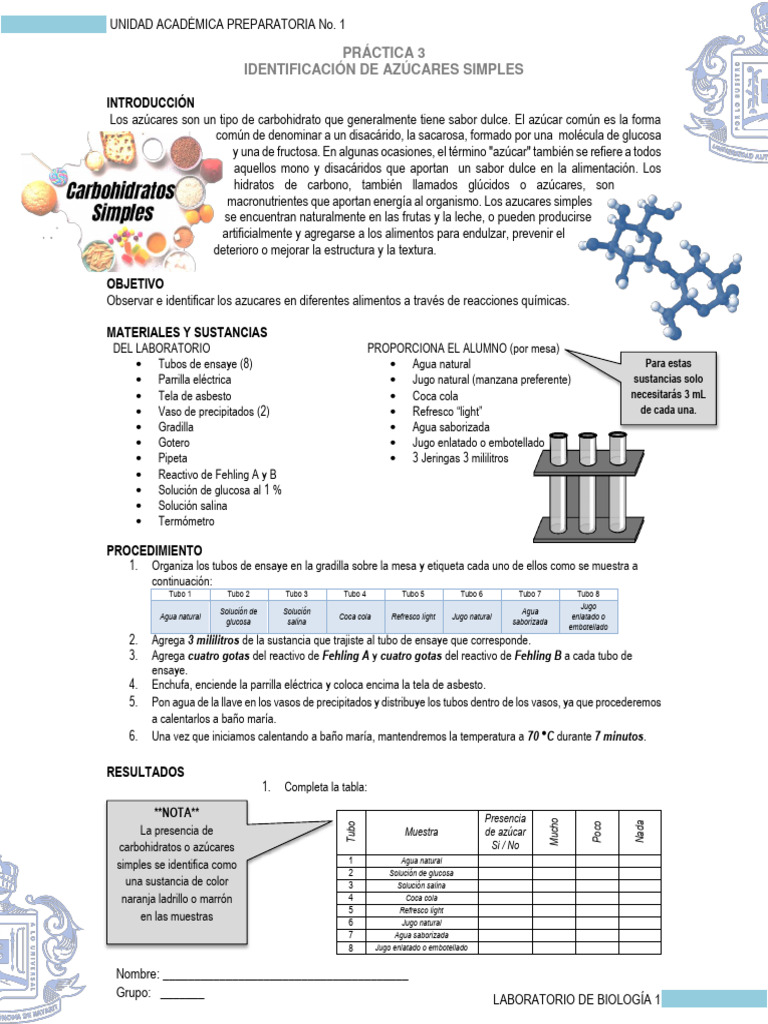 Práctica3 - Identificación de Azúcares Simples | PDF | Carbohidratos ...