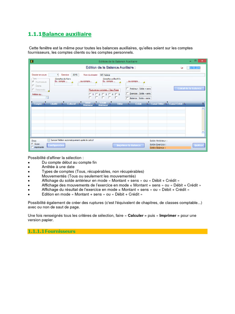 Balance Comptable Simplifiée | PDF