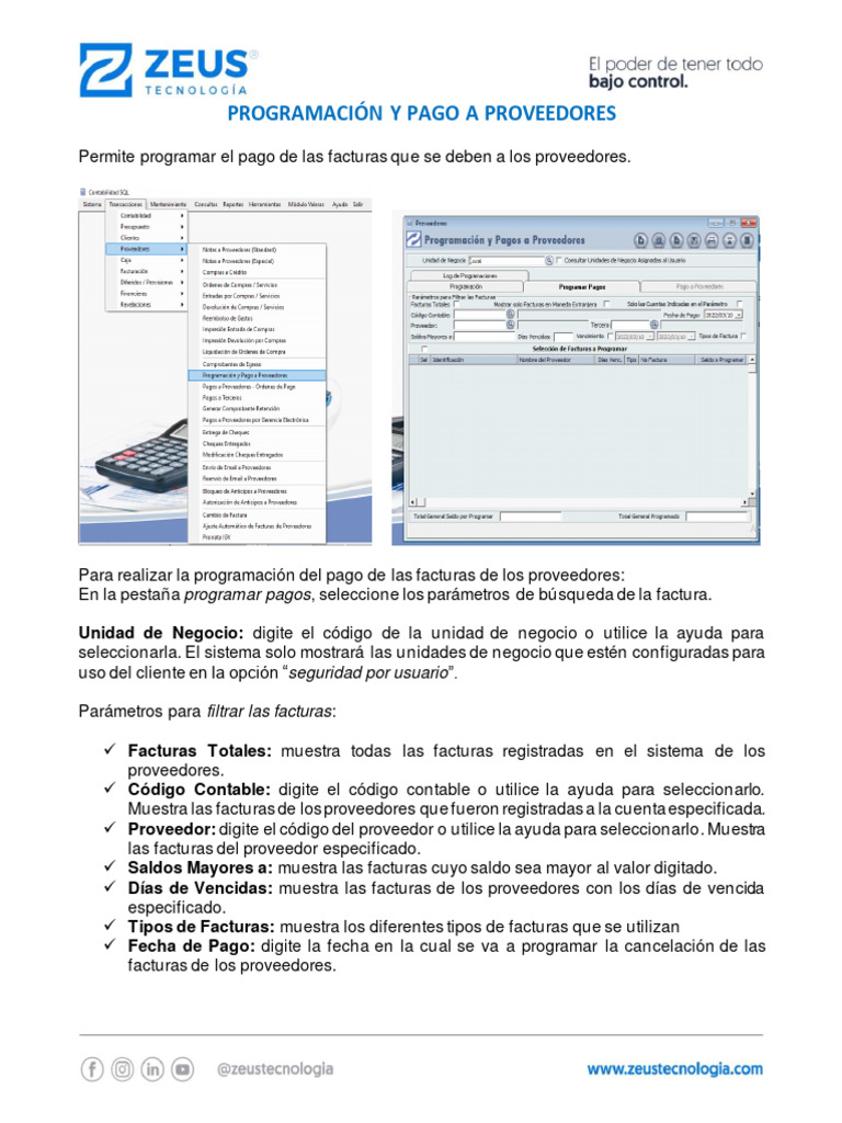 Manual - Programación y Pago A Proveedores Zeus | PDF | Contabilidad | Lenguaje de programación