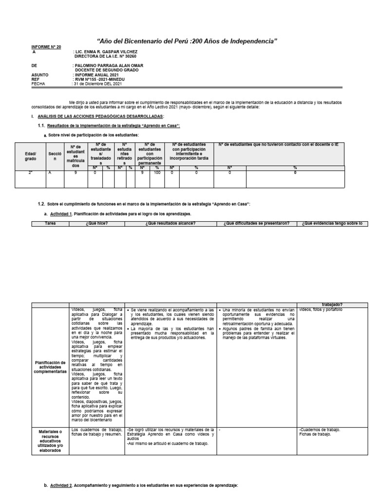 Informe Anual | PDF | Aprendizaje | Enseñando