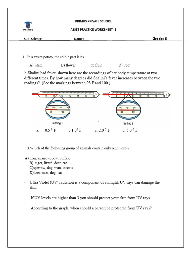 Asset Practice Worksheet 1 | PDF | Fruit | Ultraviolet