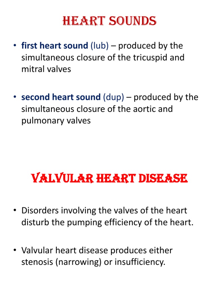 Heart Sounds - DR Geethappt | PDF | Heart Valve | Heart