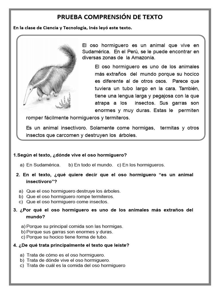 Prueba Comprensión de Texto | PDF | Osos | Hormiga