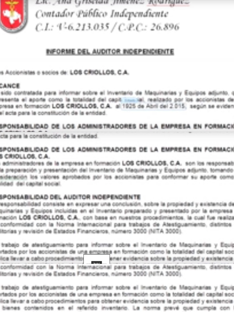 Modelo Informe Inventario Empresa en Formacion | PDF