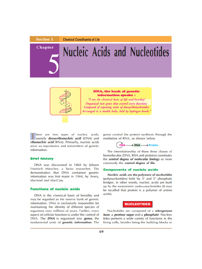 Nucleic Acids | PDF