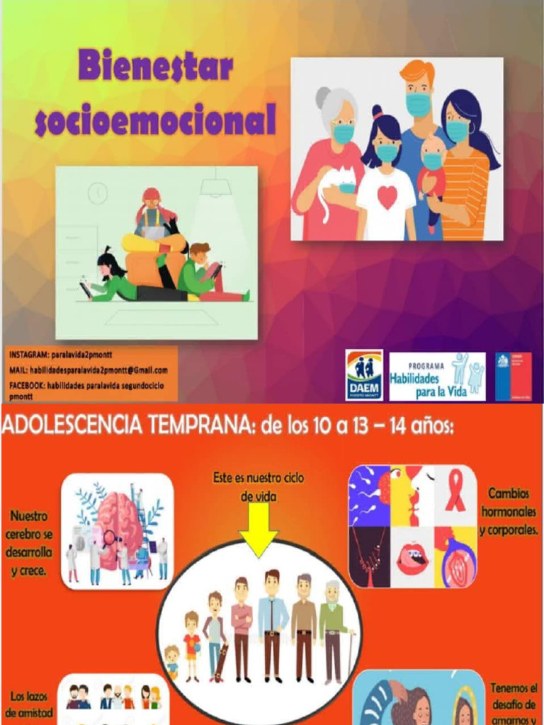 Bienestar Socioemocional | PDF