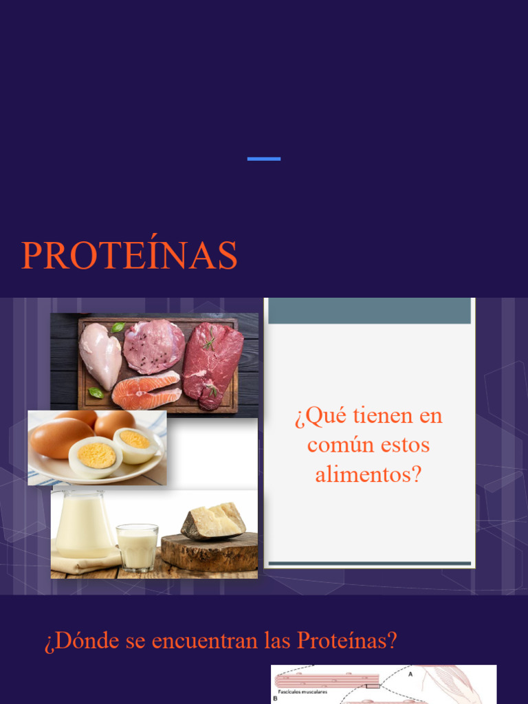 Proteinas 2 | PDF | Proteínas | Aminoácidos