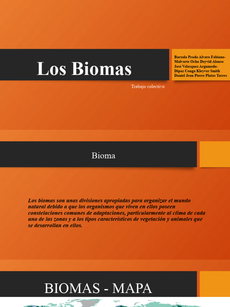 Los Biomas | PDF | Selva | Ecorregiones
