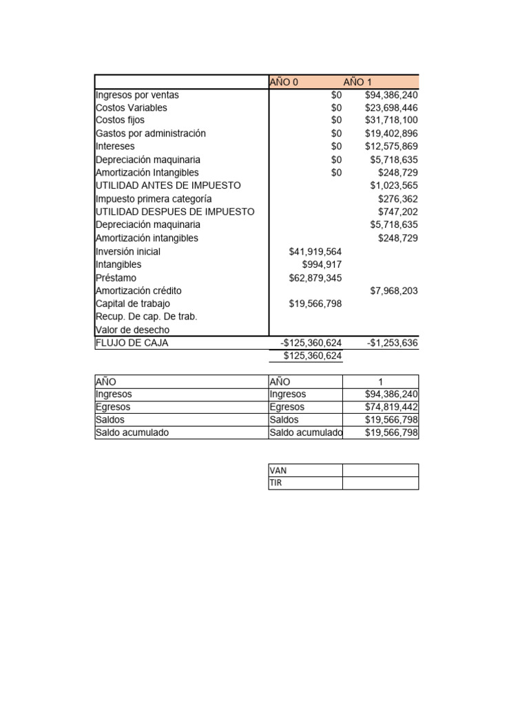 FLUJO DE CAJA y EERR Ejercicio 1 (5) Viviana Cortes | PDF ...
