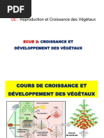 Sporulation et structure des spores bactériennes | PDF | Spore | Biologie