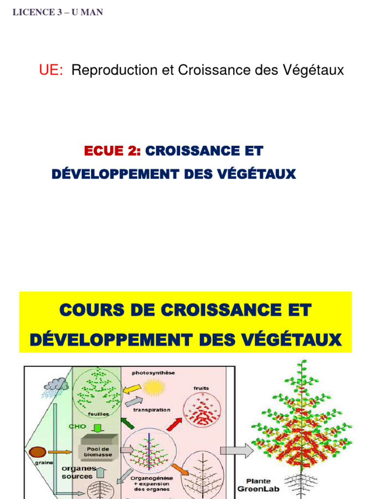 Croissance et Développement des Végétaux | PDF | Auxine | Graine