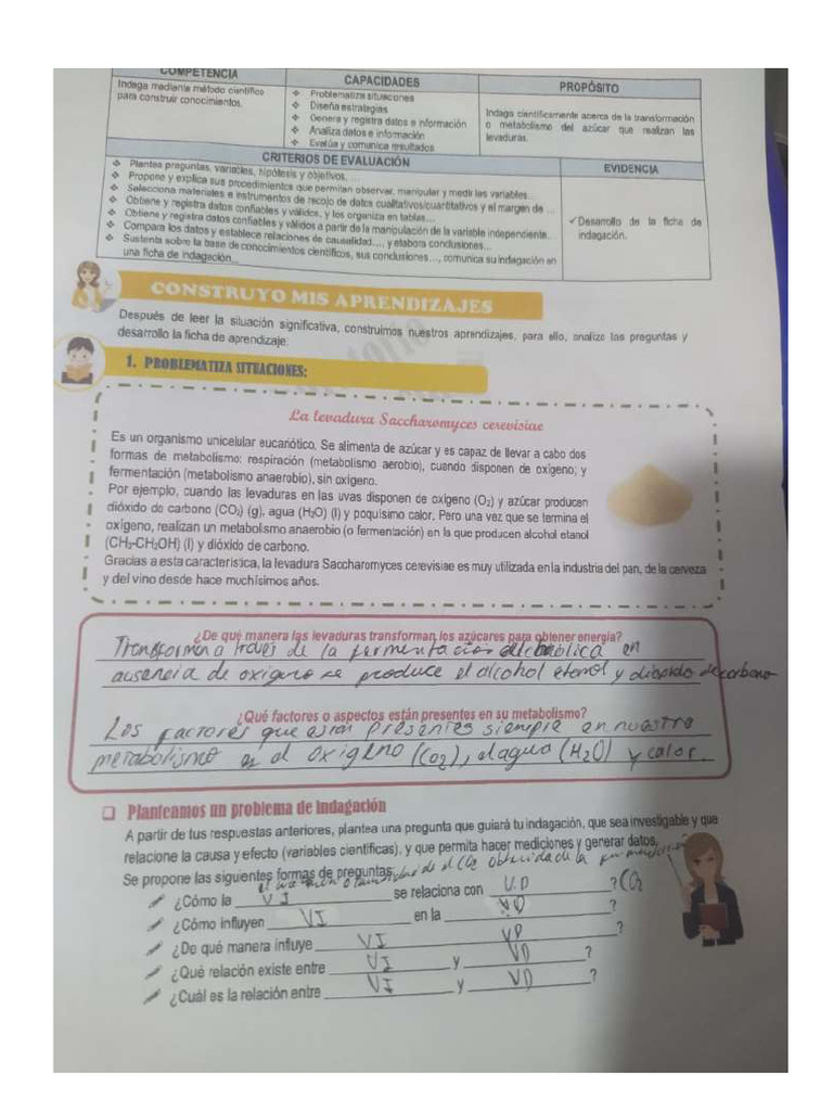 Cyt Ficha de Indagacion | PDF