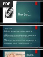 Ent History Taking and Examination-1 | PDF | Human Nose | Medical ...