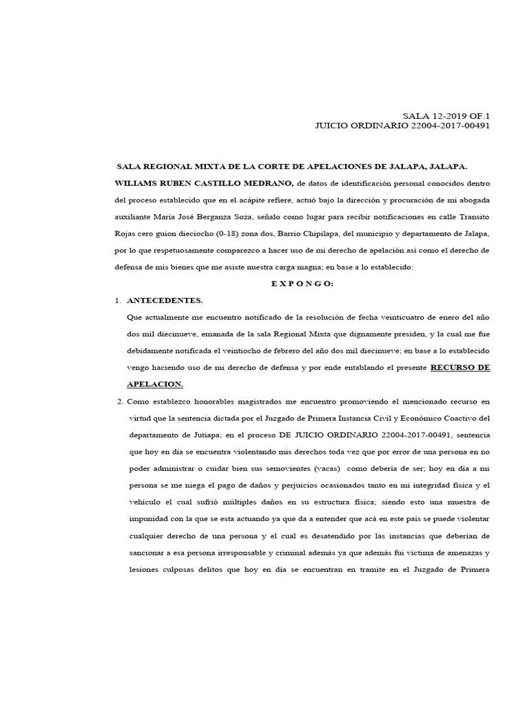 Memorial Apelacion Civil | Descargar gratis PDF | Sentencia (ley) | Apelación