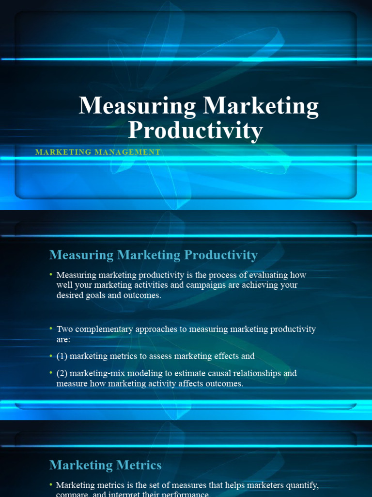 Measuring Marketing Productivity | PDF
