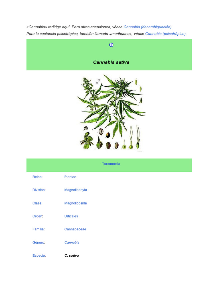 Cannabis Sativa. | PDF