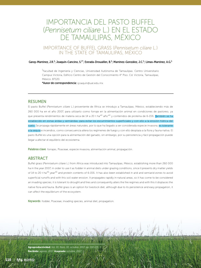 Importancia Del Pasto Buffen - México | PDF | Pasto | Aluminio