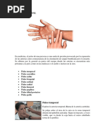 Exploración del Pulso Temporal | PDF