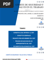 Conformación y Funciones del Comité SST | PDF | Valores | Votación