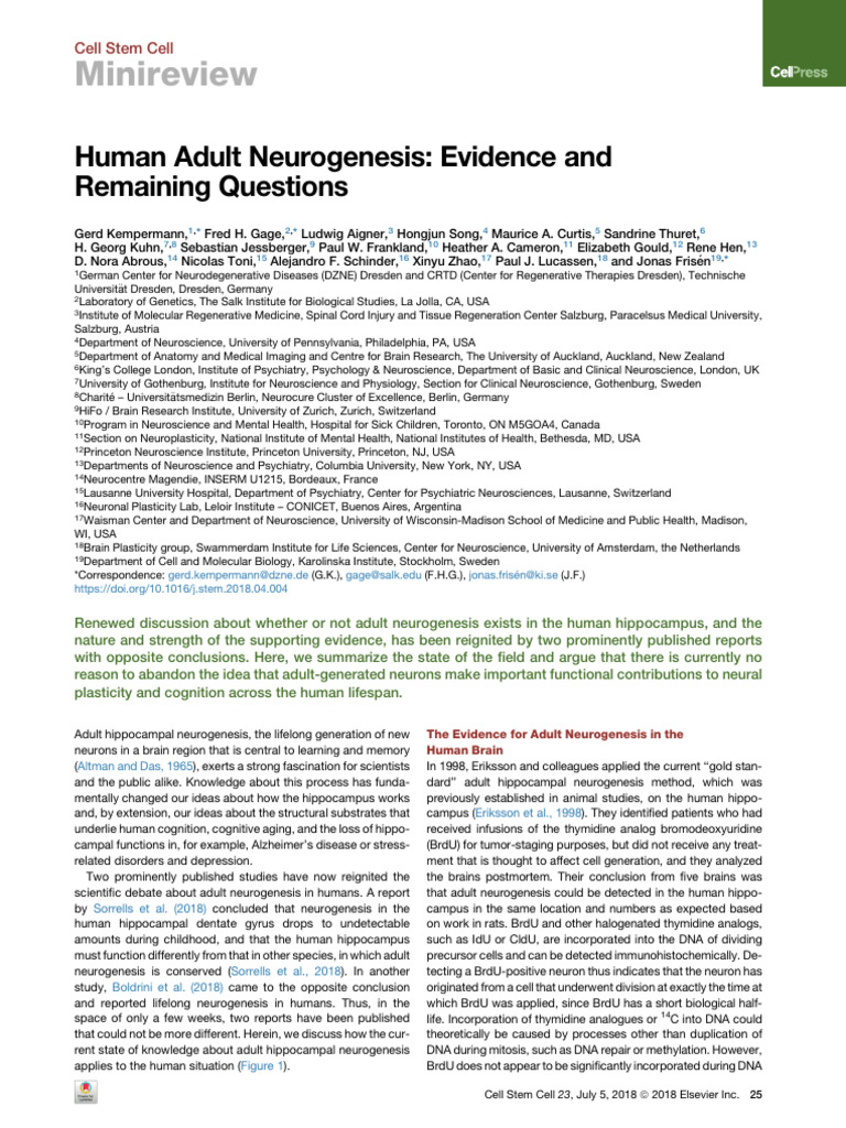 1 Human Adult Neurogenesis - Evidence and Remaining Questions | PDF ...