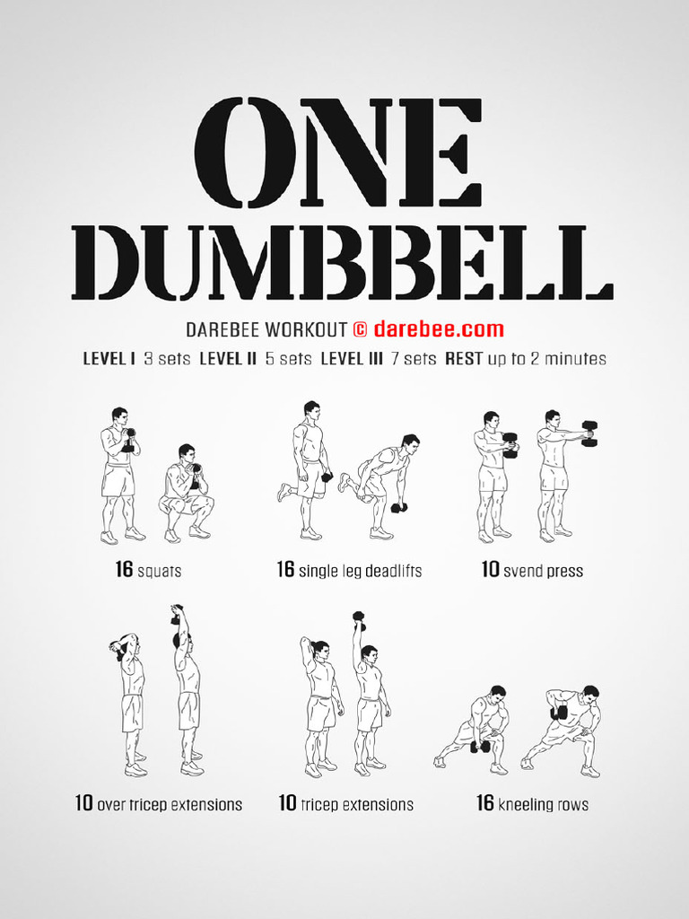 One Dumbbell Workout | PDF