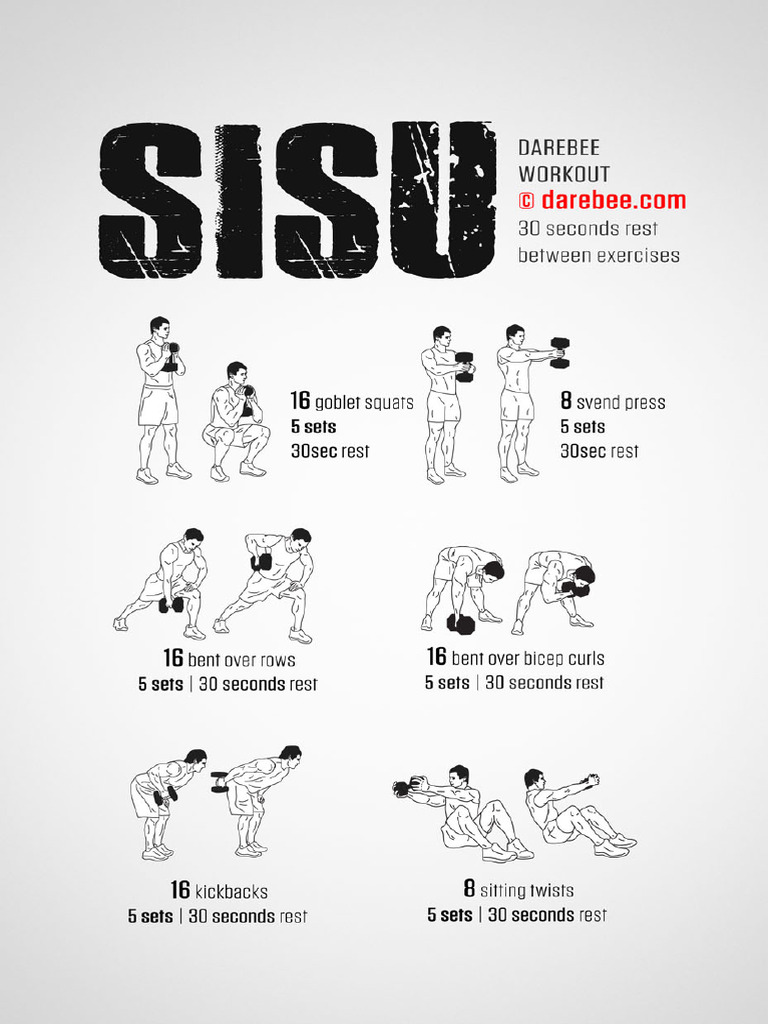 Sisu Workout | PDF