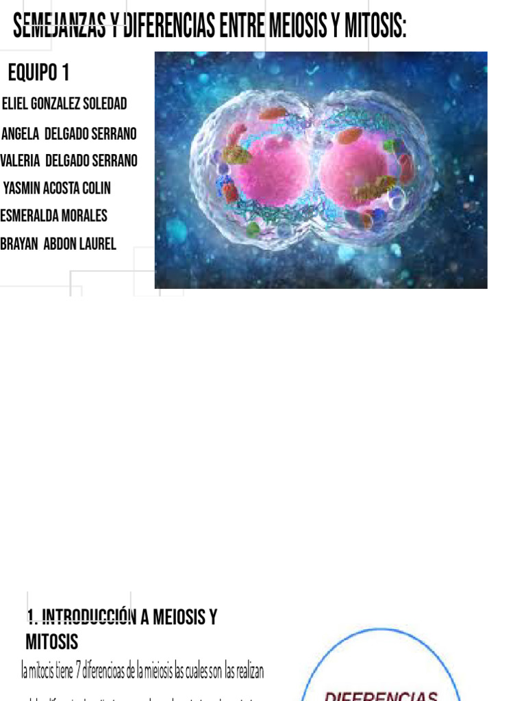 Semejanzas y Diferencias Entre Meiosis y Mitosis Un Analisis Profesional | PDF | Mitosis | Mitosis