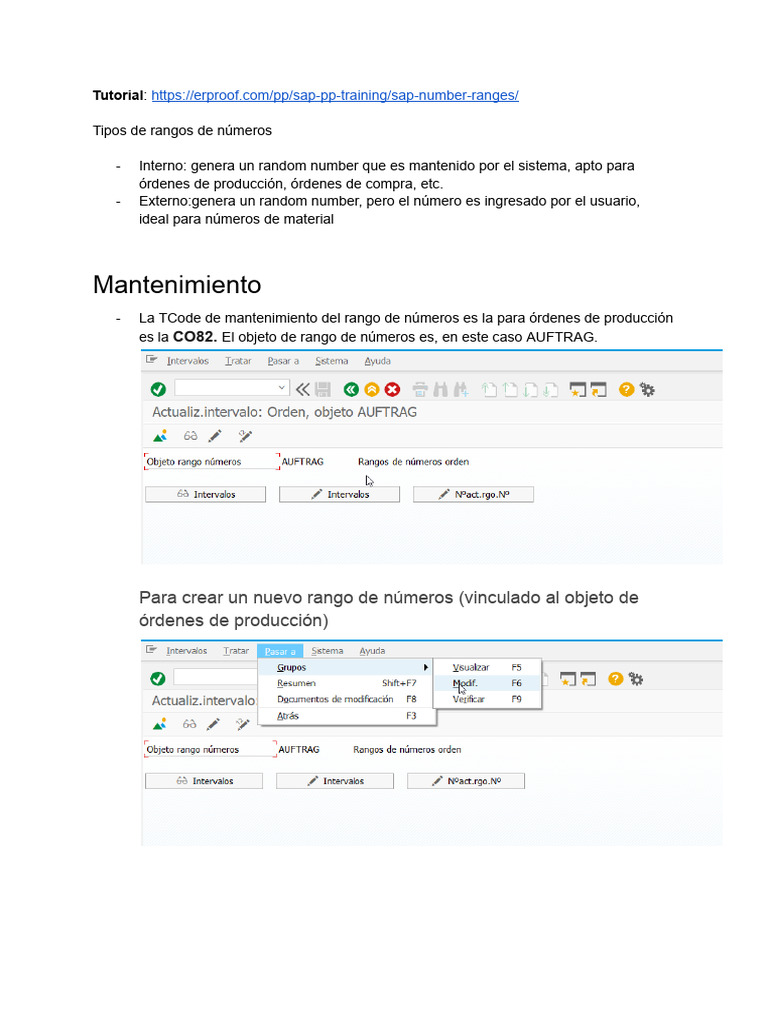 Rango de Números SAP | PDF