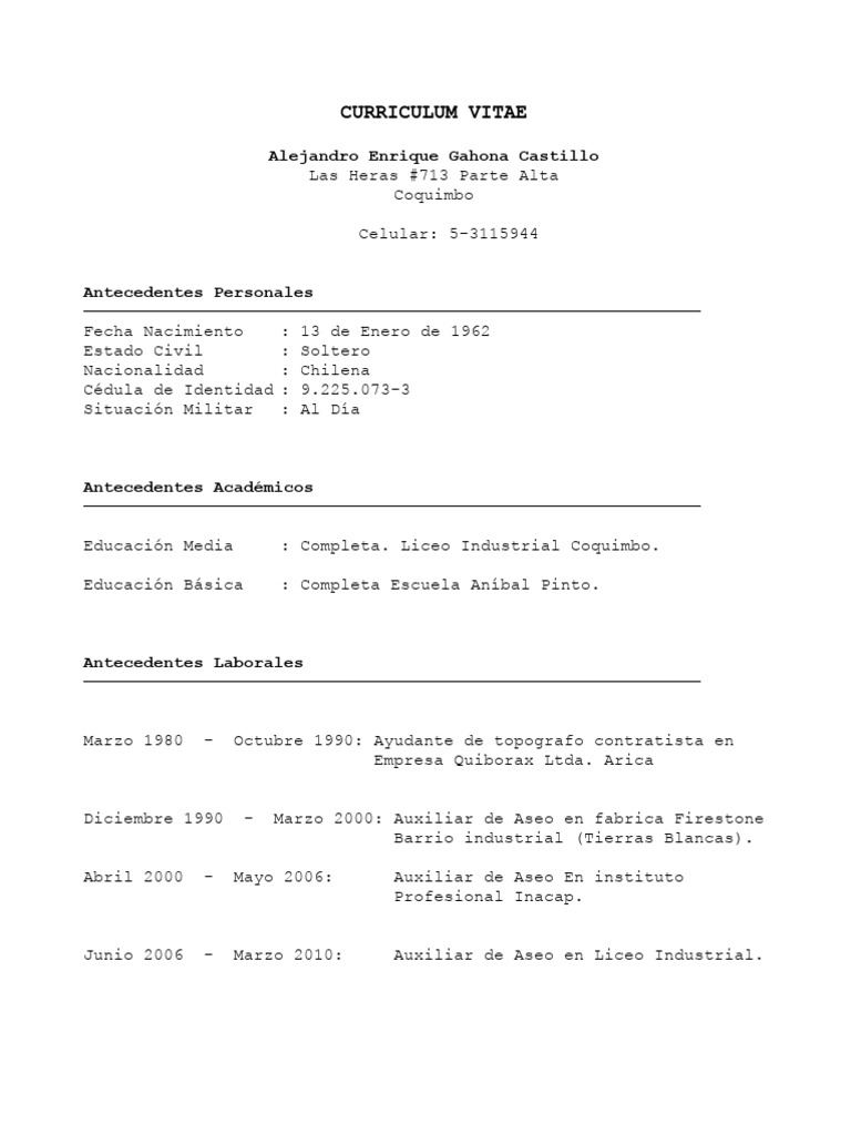 Curriculum Alejandro | PDF