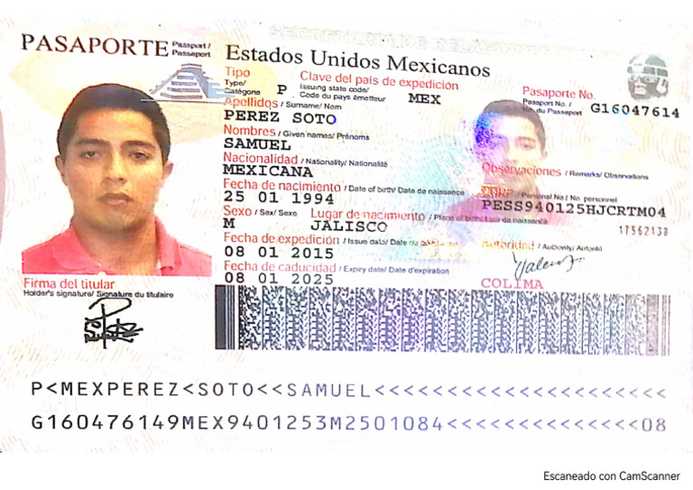 Identificación Pasaporte | PDF
